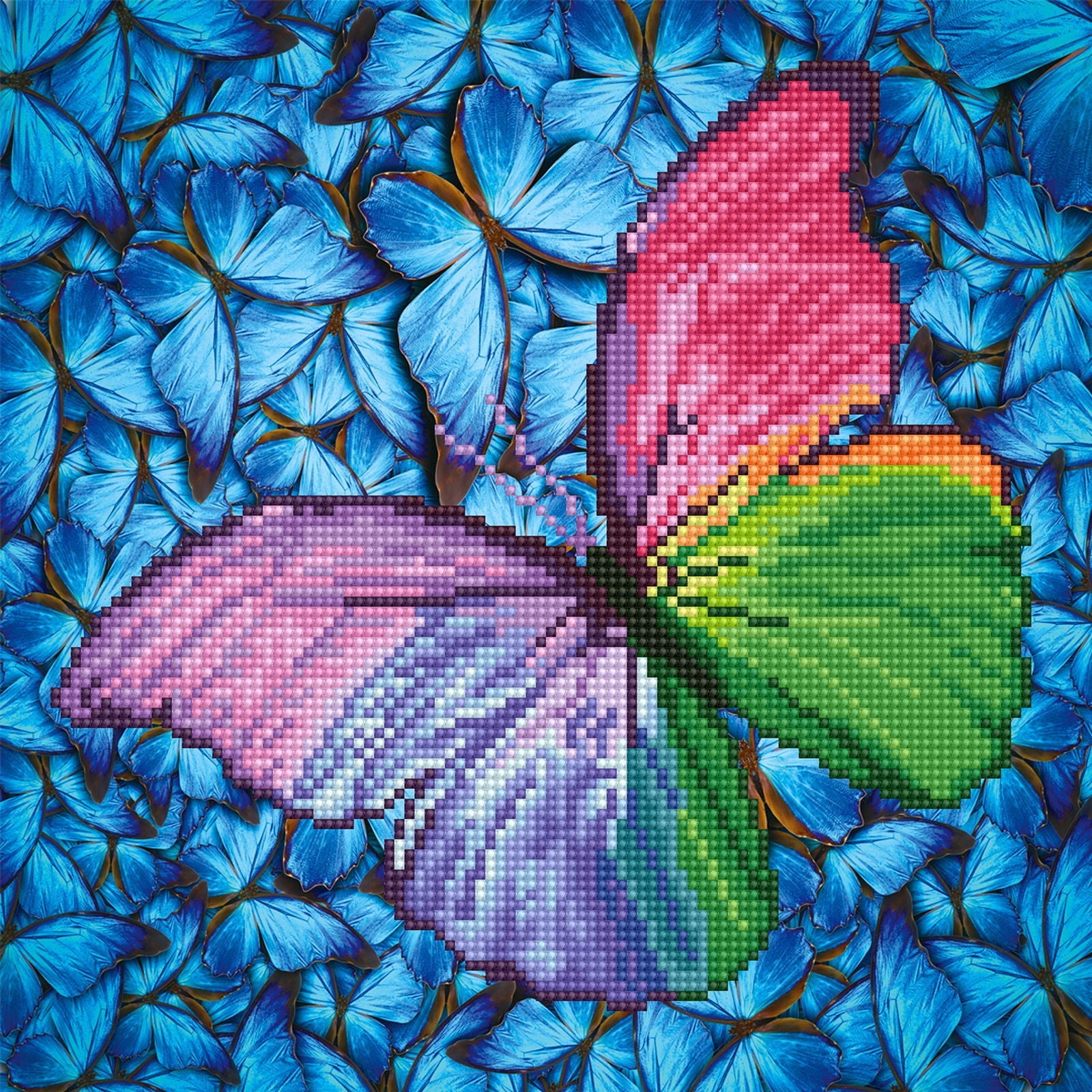 Flutter By Pink | Diamond Painting Kits Butterfly | Diamond Dotz ...